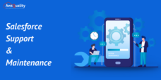Salesforce Support And Maintenance Services, Salesforce Code Review