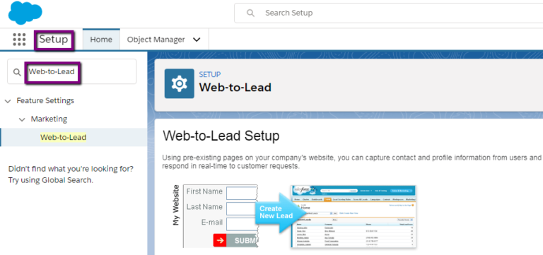 Master The Skills Of Salesforce Web-to-Lead And Be Successful