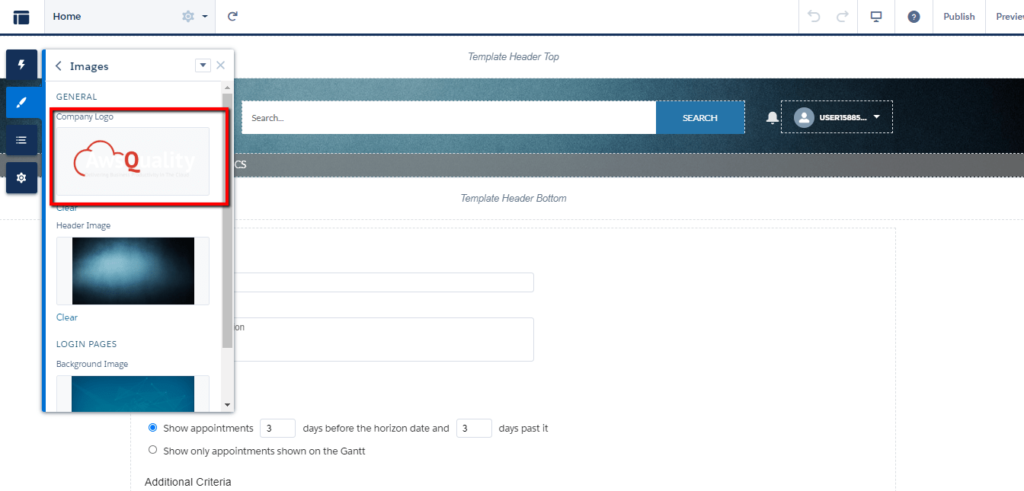 Customization and Branding in Salesforce - AwsQuality