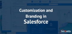Customization and Branding in Salesforce - AwsQuality