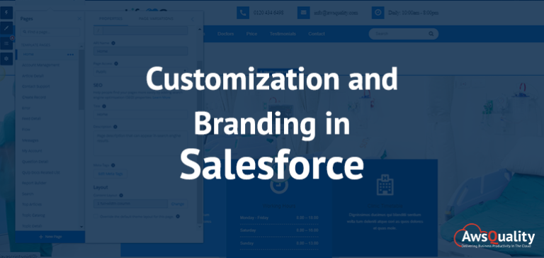Customization and Branding in Salesforce - AwsQuality